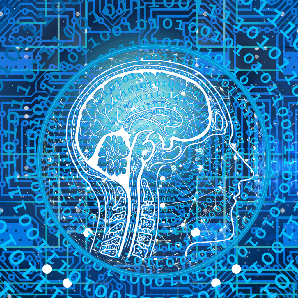 Der Test zum Allgemeinwissen mit mittleren Fragen!