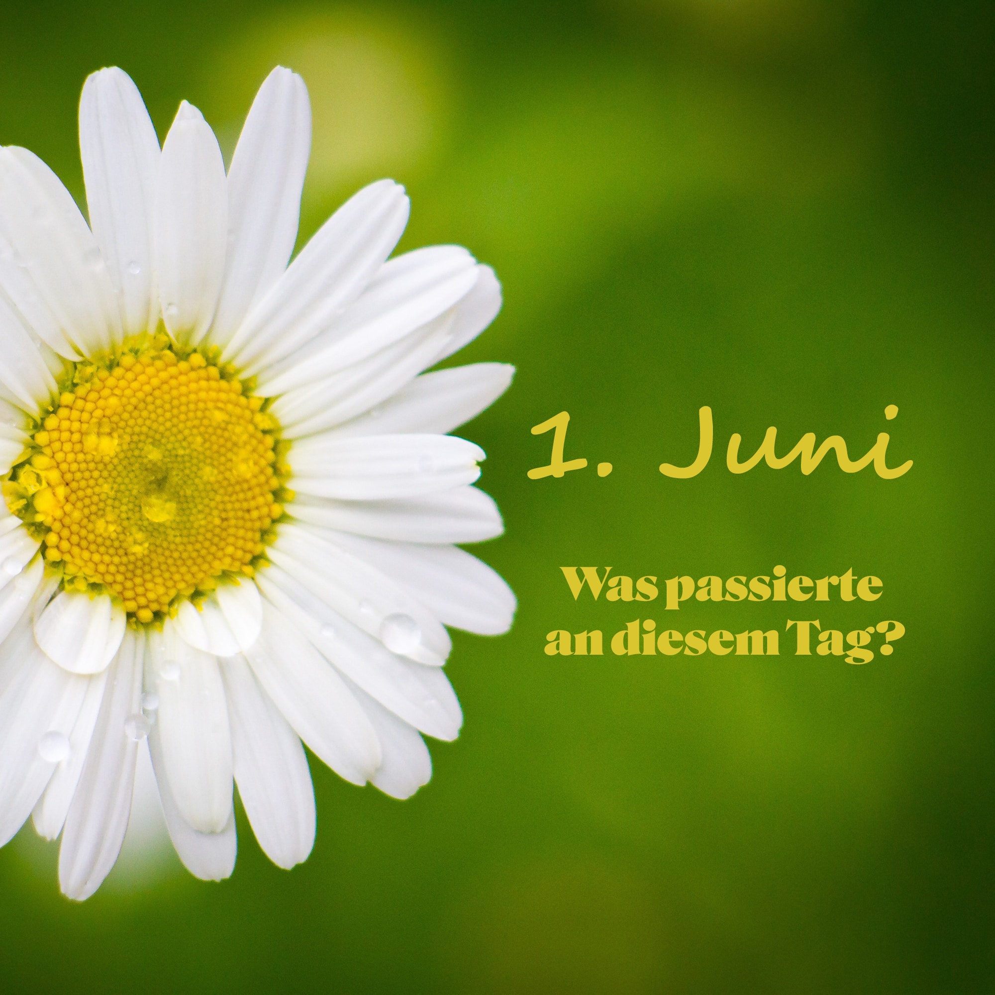 Geschichte Quiz Was Passierte Am 1 Juni Geschichte Quiz Was Passierte Am 1 Juni