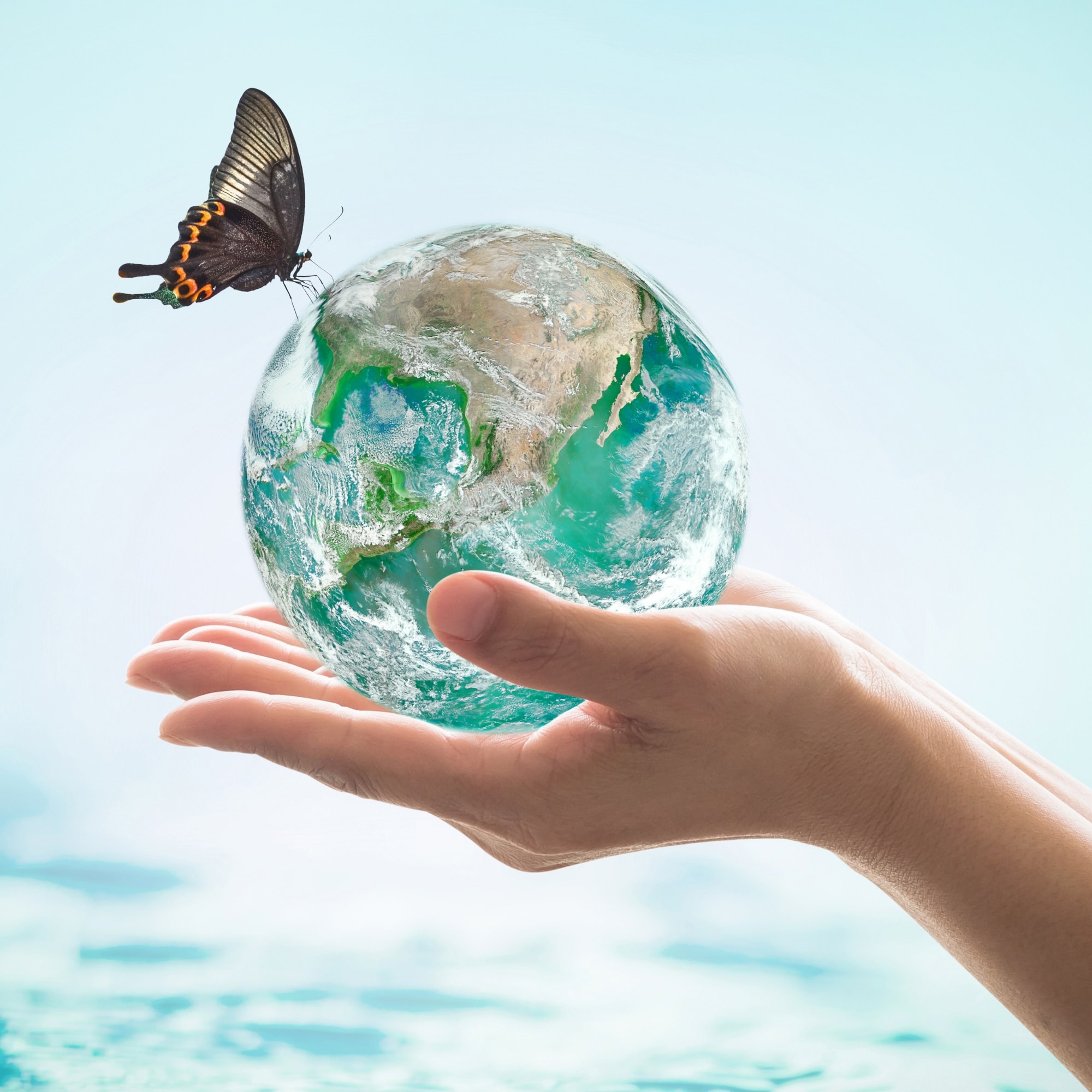 Tag der Erde: Beantworte 11 Fragen zum Klimawandel!