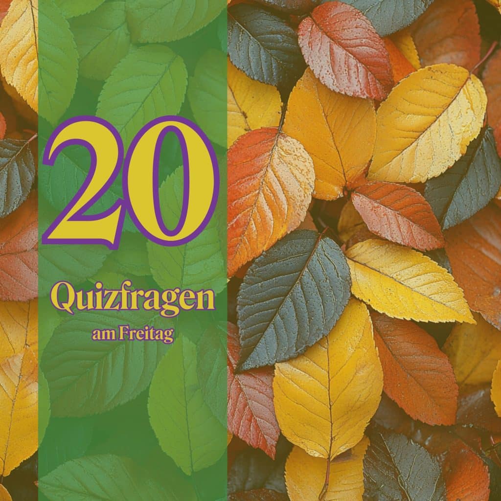20 Quizfragen am Freitag: Teste dein Allgemeinwissen!